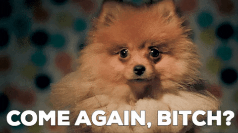 Idek-what-this-is-again GIFs - Get the best GIF on GIPHY