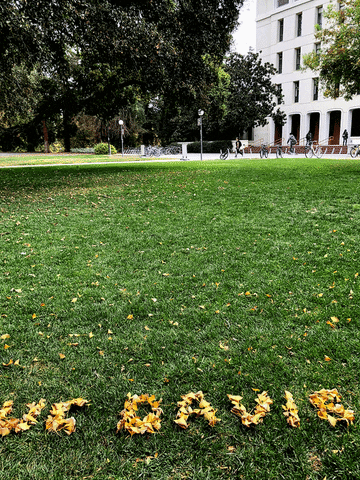 Leaf Colors GIFs - Get the best GIF on GIPHY
