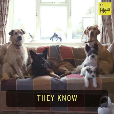 Thats Sus GIFs - Get the best GIF on GIPHY