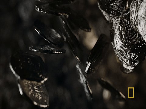 Origins-money-coins-silver GIFs - Get the best GIF on GIPHY