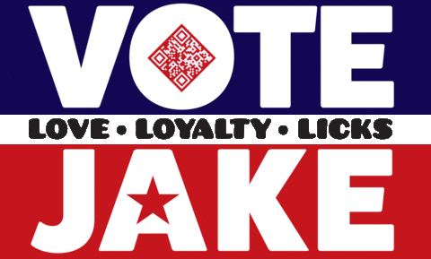 saltydogcafe GIFs on GIPHY - Be Animated