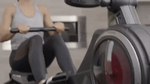 Workout Working Out GIF by ProForm - Find & Share on GIPHY