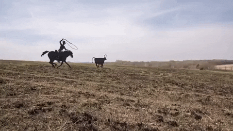 Kansas GIFs - Get the best GIF on GIPHY