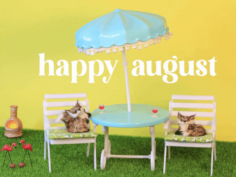 August 1St GIFs - Get the best GIF on GIPHY