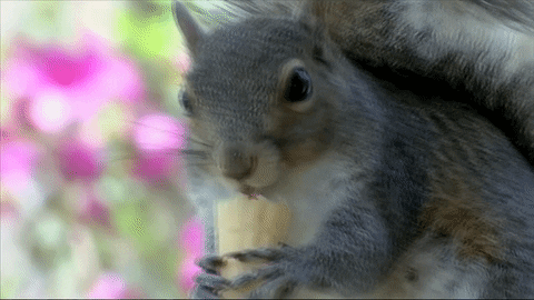 Etats Unis Glace GIF by BFMTV - Find & Share on GIPHY