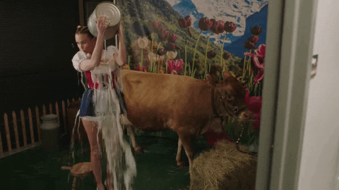 Milkmaid GIFs - Get the best GIF on GIPHY