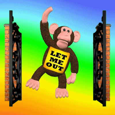 Free Me GIFs - Get the best GIF on GIPHY