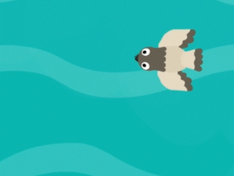 Bird Fly GIF by Studycat - Find & Share on GIPHY