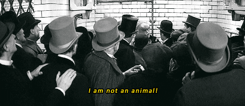 Not-an-animal GIFs - Get the best GIF on GIPHY