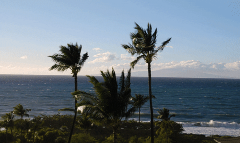 Francisco Villa GIFs - Get the best GIF on GIPHY