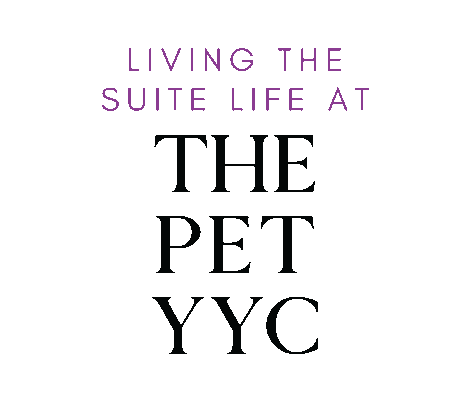 petropolitan GIFs on GIPHY - Be Animated