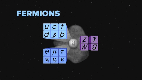 Standard Model GIFs - Get the best GIF on GIPHY