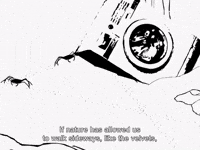 The-velvet GIFs - Get the best GIF on GIPHY