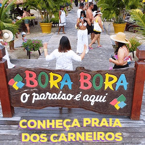Bora Bora Carneiros GIFs on GIPHY - Be Animated