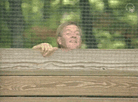 Peeking GIFs - Get the best GIF on GIPHY