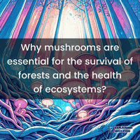 Decompose Gifs Find Share On Giphy Find & Share On GIPHY