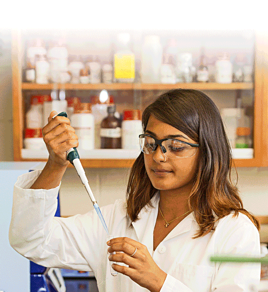 Valpoexperience GIFs - Get the best GIF on GIPHY