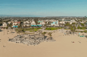 California GIFs - Find & Share on GIPHY