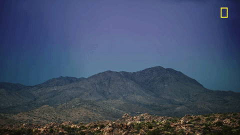 Hostile Planet: Deserts by National Geographic TV | GIPHY