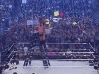 Wwe Randy Orton Rko Gif