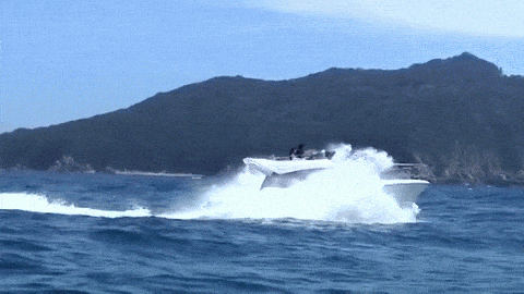 Boat GIF by Supercompressor - Find & Share on GIPHY