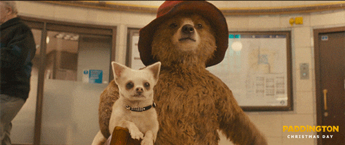 Paddington Bear Animation GIF by The Weinstein Company - Find & Share ...