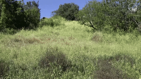 Car-wheel GIFs - Get the best GIF on GIPHY