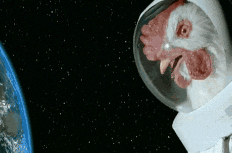 New trending GIF tagged space chicken via http… | Trending Gifs