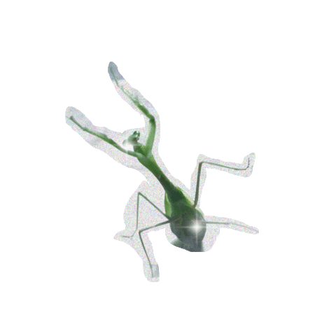 Praying Mantis Bug Sticker by Kim Petras for iOS & Android | GIPHY