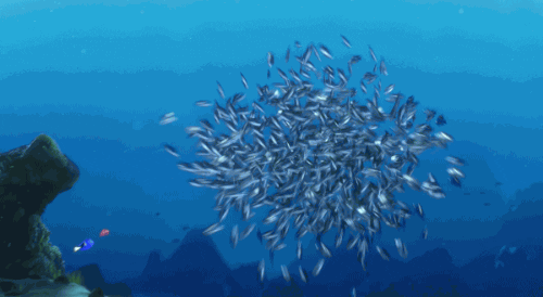 Finding Nemo Pixar Gif GIF by Disney Pixar - Find & Share on GIPHY