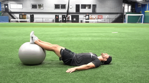 Stability Ball Curls GIF by Hockey Training - Find & Share on GIPHY