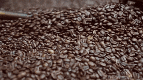 Roasting Coffee GIFs - Get the best GIF on GIPHY