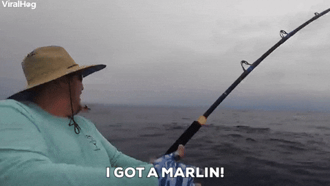 Fishing Marlin GIF by ViralHog - Find & Share on GIPHY