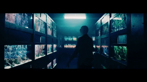 Afterall GIFs - Get the best GIF on GIPHY