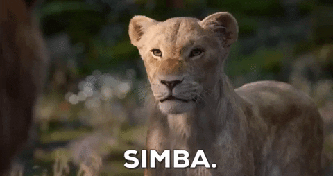 Gif Re Leone Simba Nala