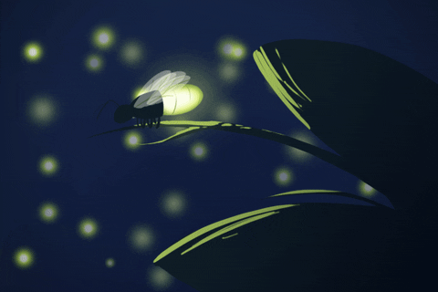 Firefly Hug GIF - Find & Share on GIPHY