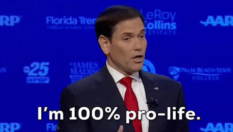 23 GIFs From the Florida Senate Debate by GIPHY News | GIPHY