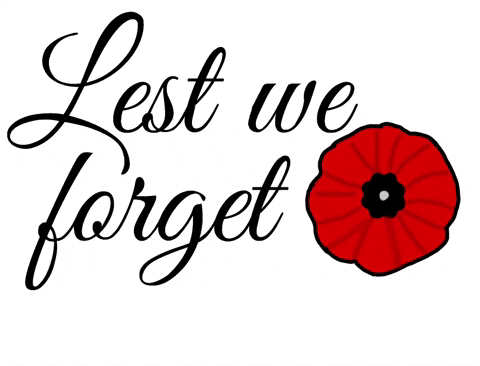 Remembrance Day GIF - Find & Share on GIPHY