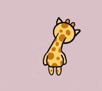 Giraffes Gif
