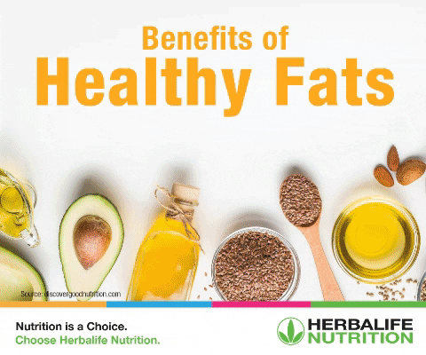 Healthy Fat GIFs - Get the best GIF on GIPHY