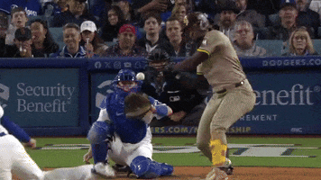 San Diego Padres GIFs on GIPHY - Be Animated