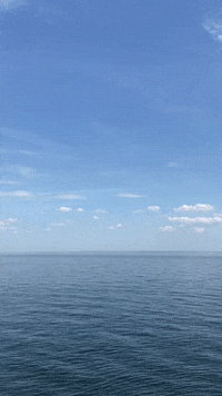 Animated Ocean Gif Background