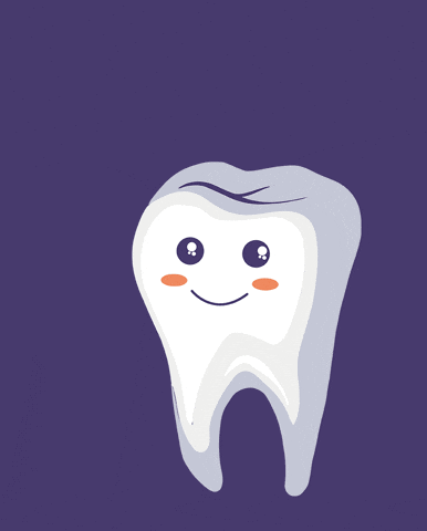 exocadofficial GIFs on GIPHY - Be Animated