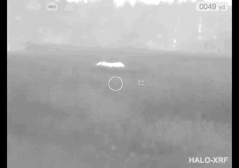 I finally ordered thermal. What else do I need? > General Discussion ...