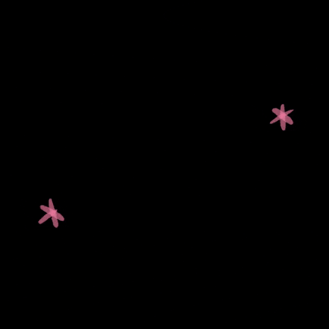 Story Time GIF by Cahre talento - Find & Share on GIPHY