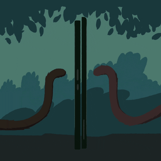 Monkey On The Phone GIFs - Find & Share on GIPHY