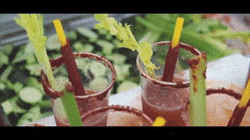 Michelada Rumble GIFs - Get the best GIF on GIPHY