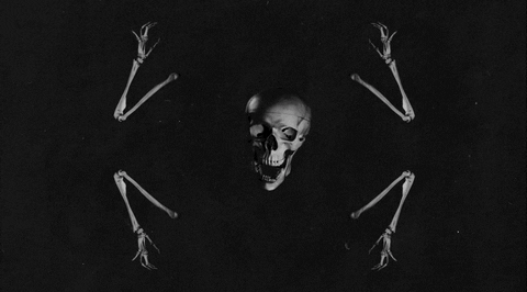 Skeleton Dance Disney GIFs - Get the best GIF on GIPHY