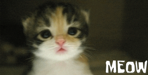 Iniquity GIFs - Get the best GIF on GIPHY