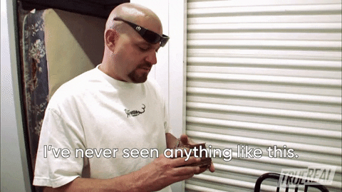 Bidding Storage Wars GIF by TrueReal - Find & Share on GIPHY